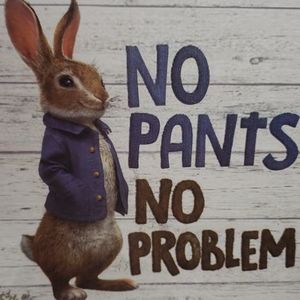 Accents | Peter Rabbit Easter No Pants No Problem Decor | Poshmark